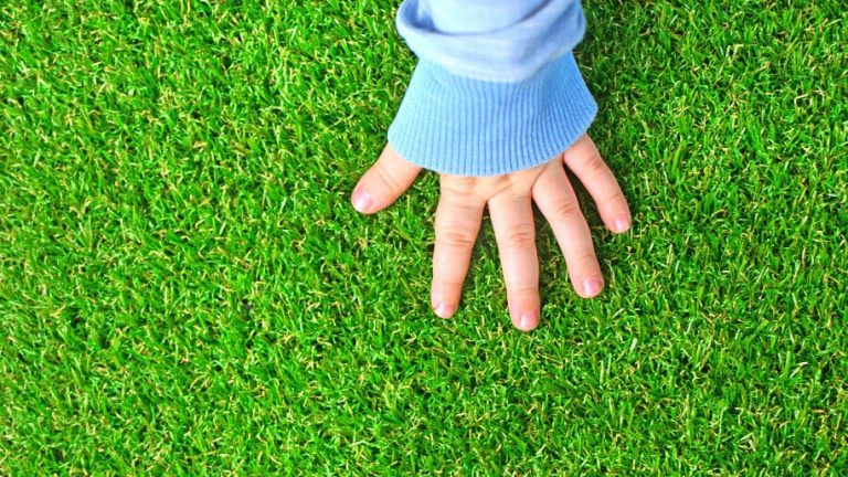How to Clean Artificial Grass | Pro Maintenance Guide by Fantastic