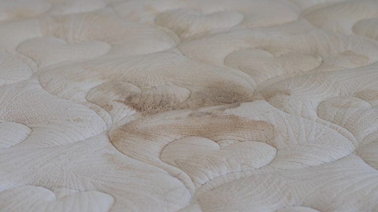3 Simple Ways to Remove Mould from a Mattress | Cleaning Tips