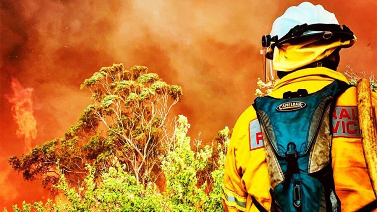 Australian Bushfire Fundraiser and Other Ways to Help | Fantastic Services