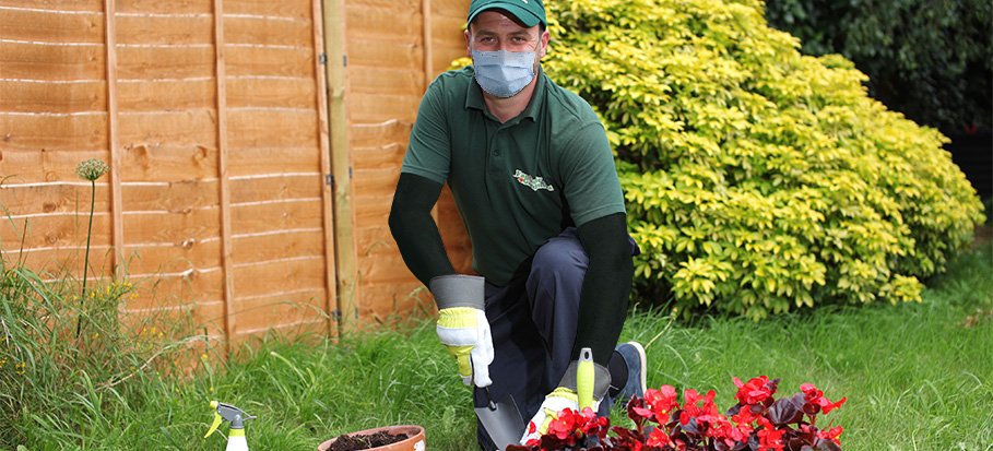 How to Topdress Your Lawn the Right Way | Fantastic Services Group