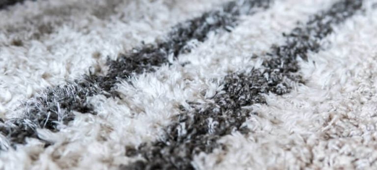 A Full Guide to Cleaning a Carpet | Fantastic Services Australia