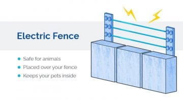 Possum-Proof Your Garden: Fence Installation & More | Fantastic Services