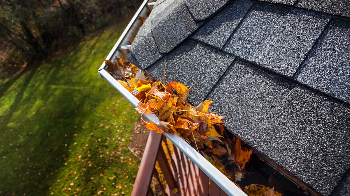 5 Effective Methods to Clean Your Gutters from the Ground
